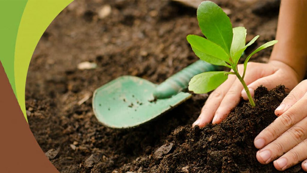 Rice Hull Carbonizer - Unlock premium biochar