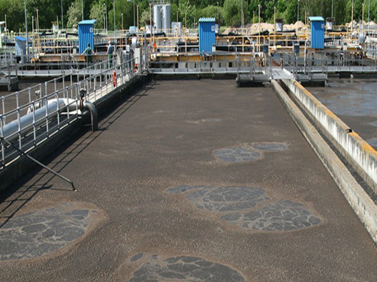 Sewage Sludge Treatment Plant | Pyrolysis Sludge into Charcoal