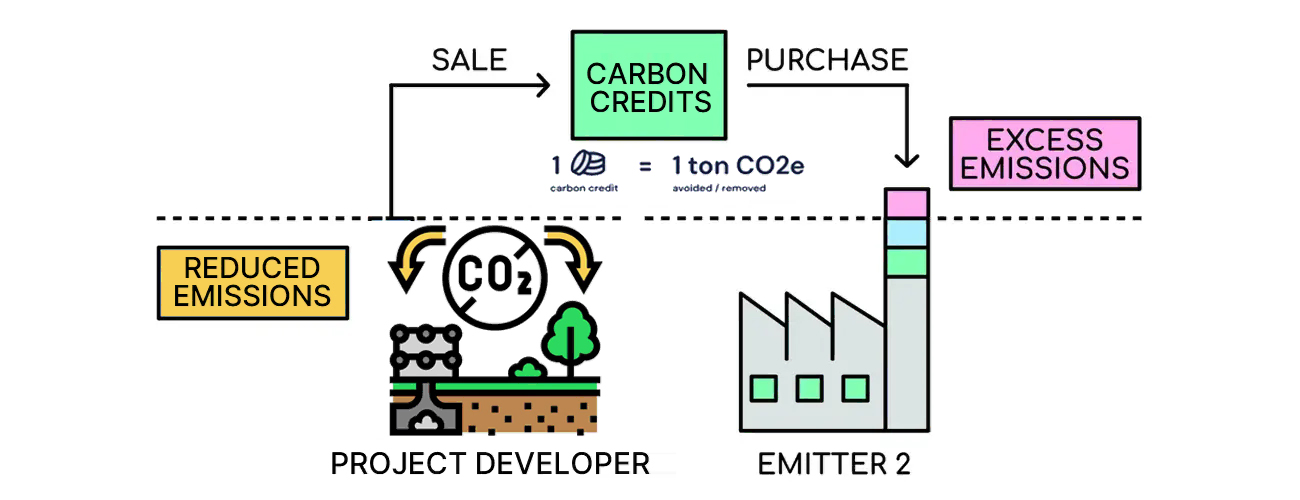 Compliance & Voluntary Carbon Markets: How They Drive Carbon Neutrality ...